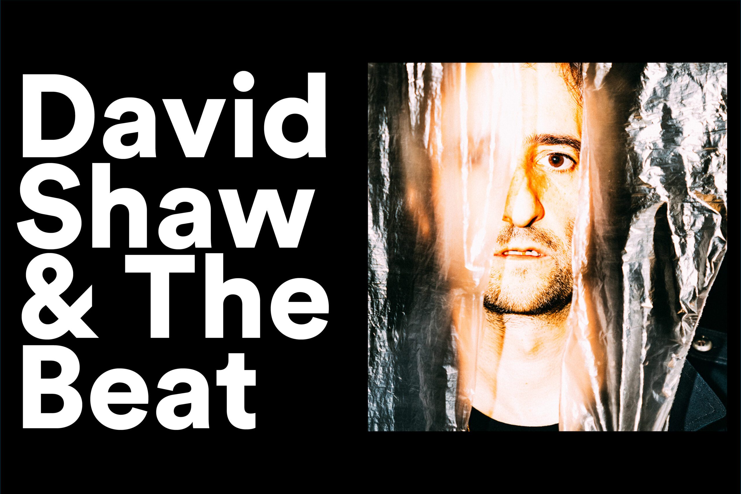 David Shaw And The Beat - Ground Control